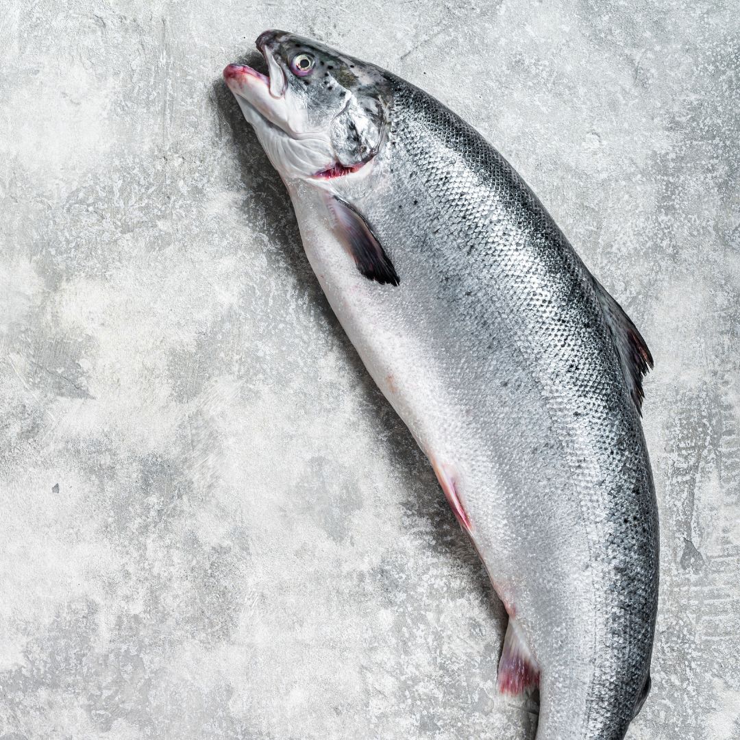 Norway Salmon - mondodelmare.com