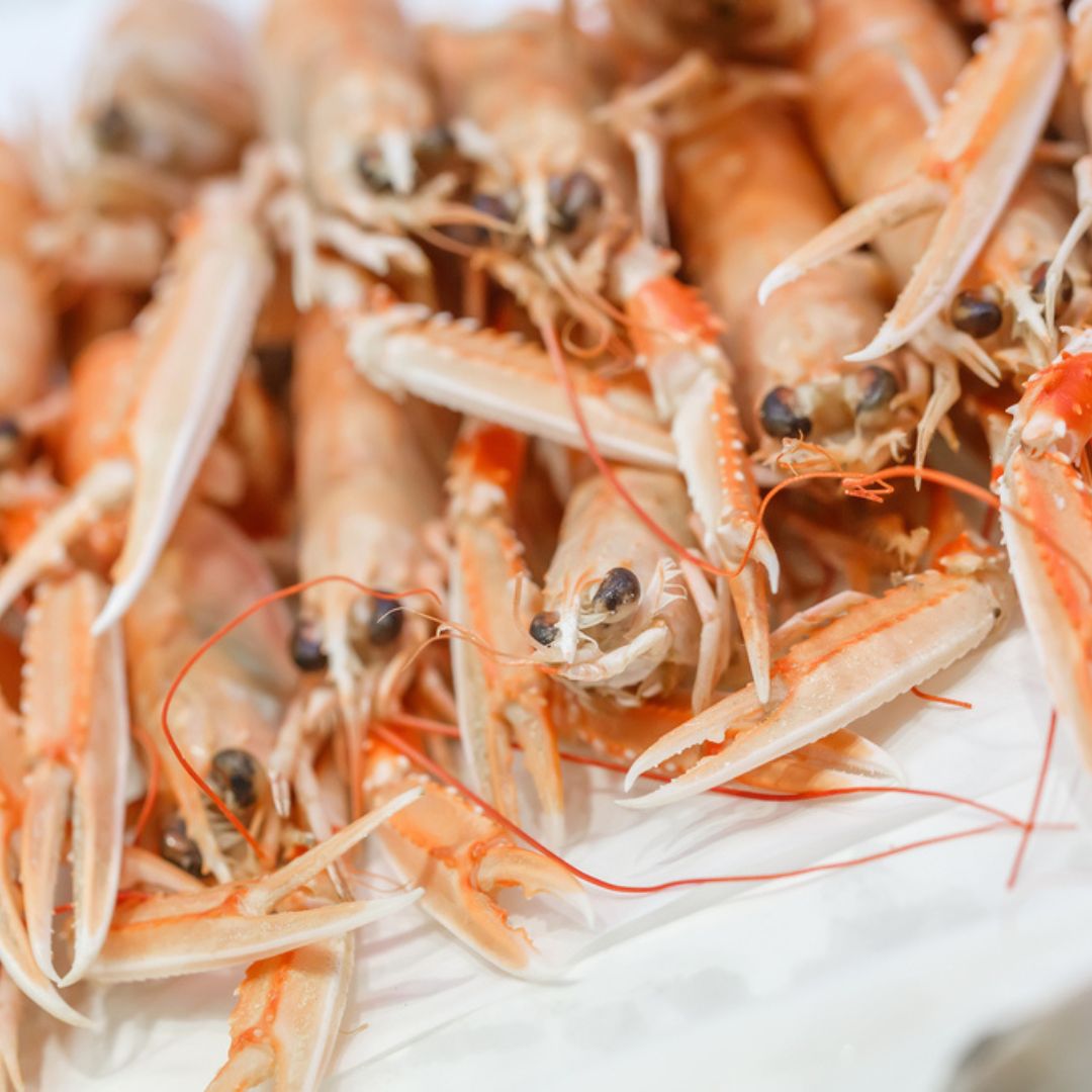 Scampi Heads - mondodelmare.com