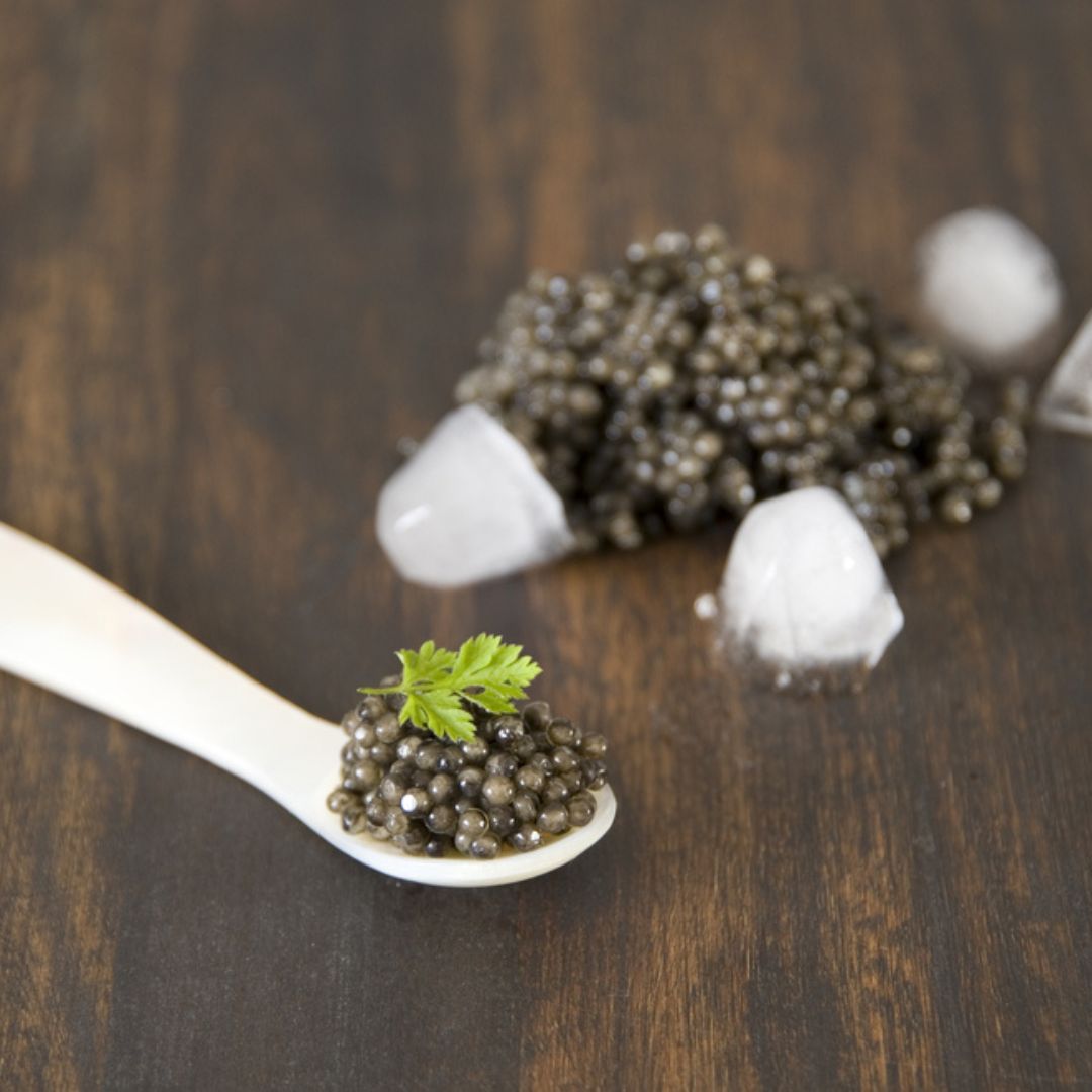 Osietra Caviar Jar - mondodelmare.com