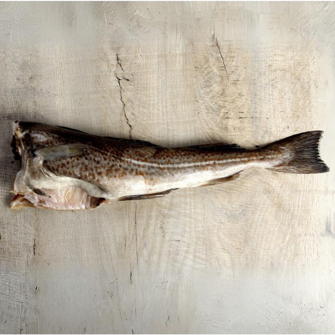 Norway Cod Headless - mondodelmare.com