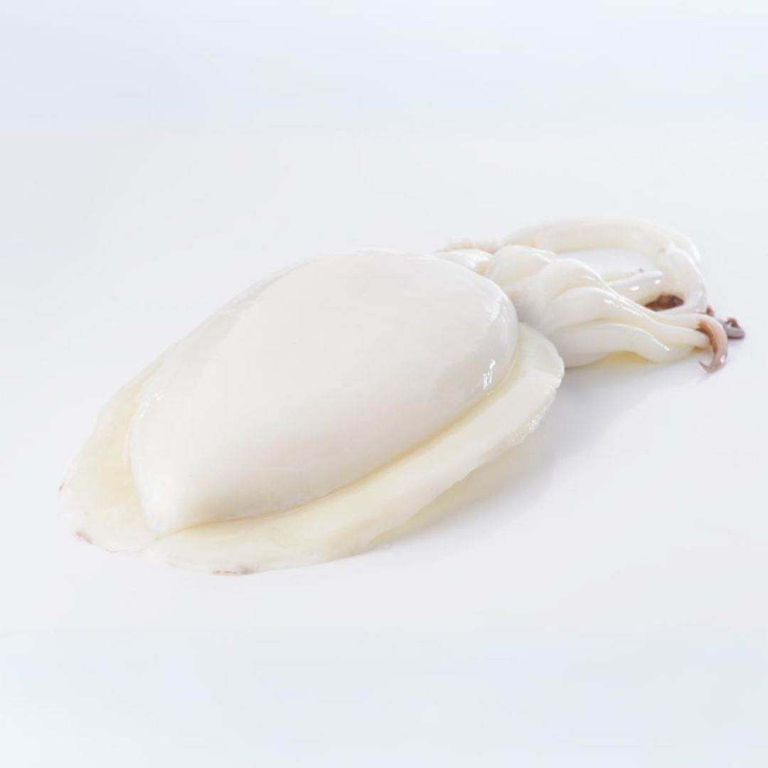 Cuttlefish fillet - mondodelmare.com