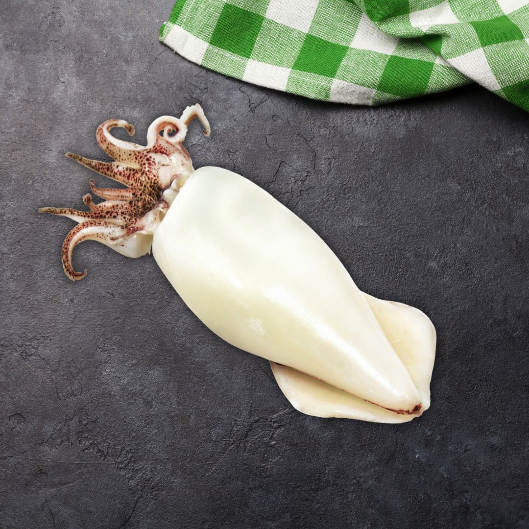 Arrow Squid cleaned - mondodelmare.com