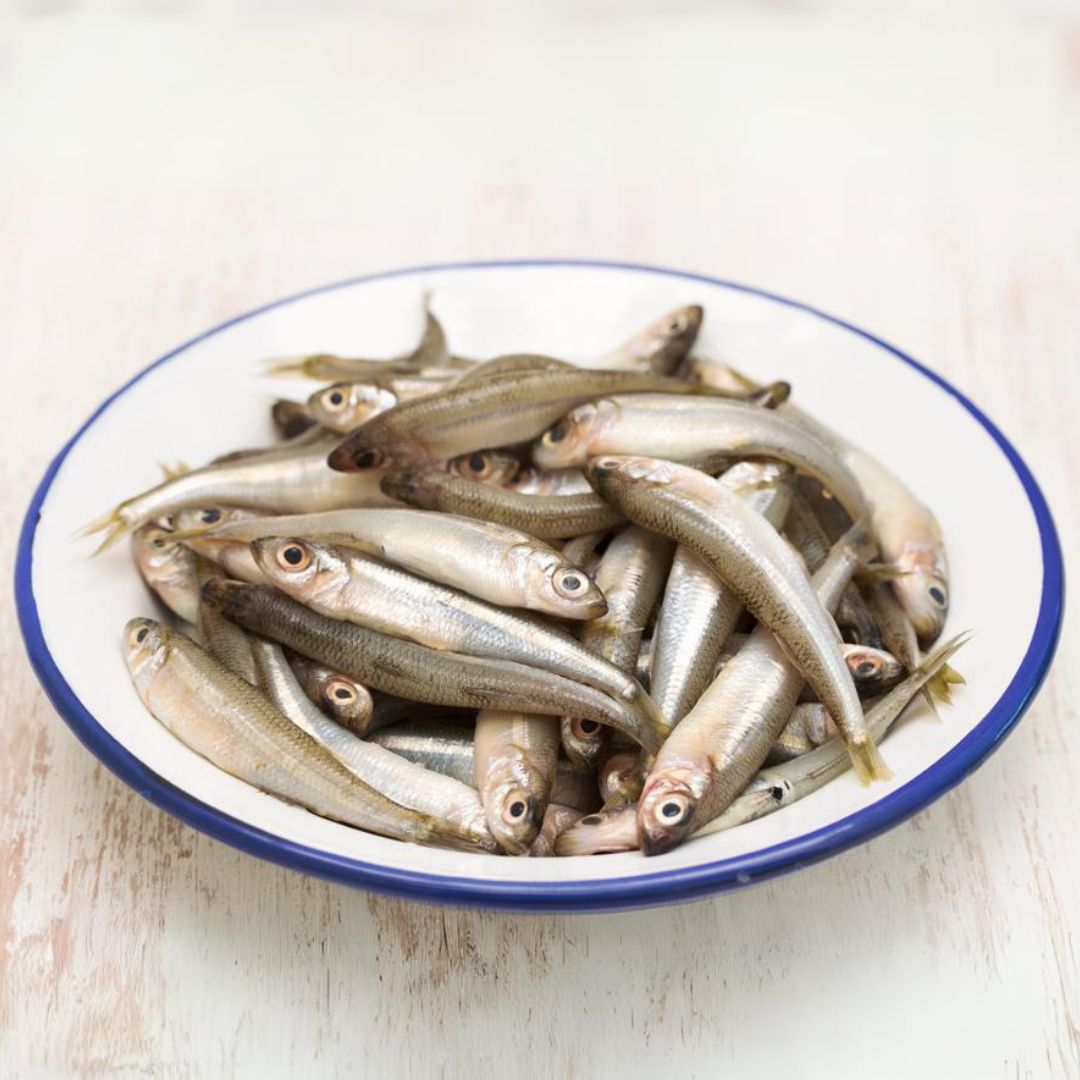 Sand Smelt - mondodelmare.com
