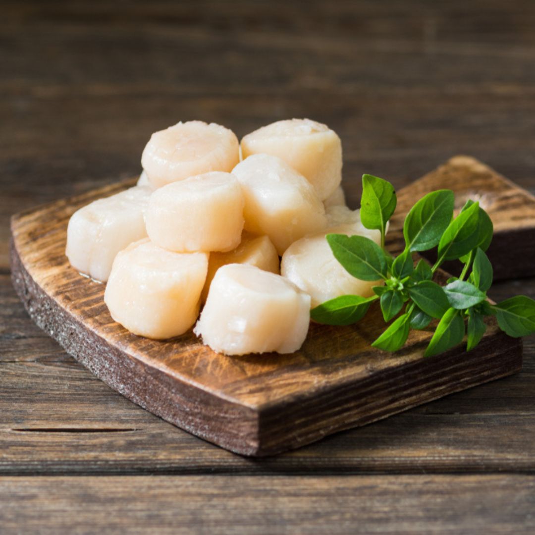 Scallops (without meat) - mondodelmare.com
