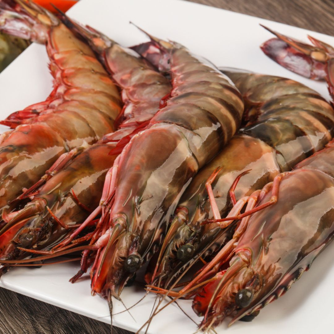 Atlantic Jumbo Shrimp - mondodelmare.com