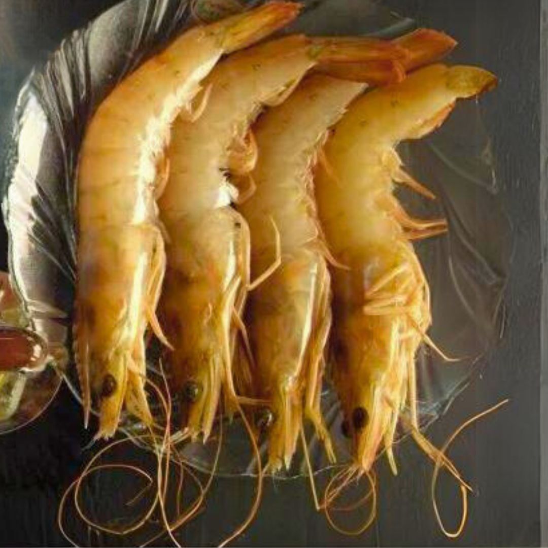 Atlantic Shrimps - mondodelmare.com