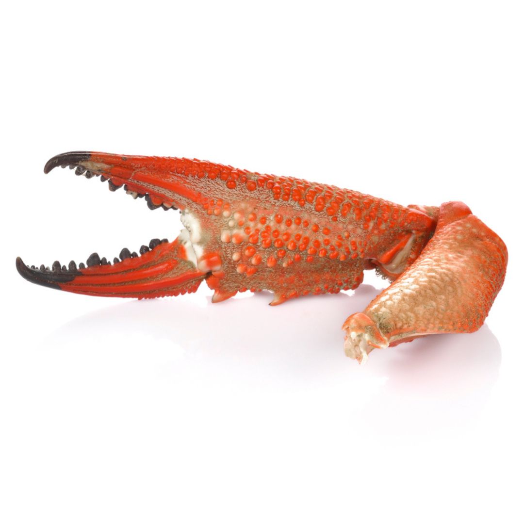 Original Crab Claws - mondodelmare.com