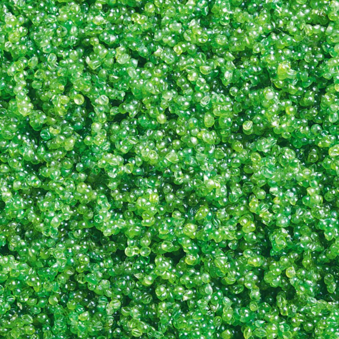 Masago Wasabi 400gr - mondodelmare.com