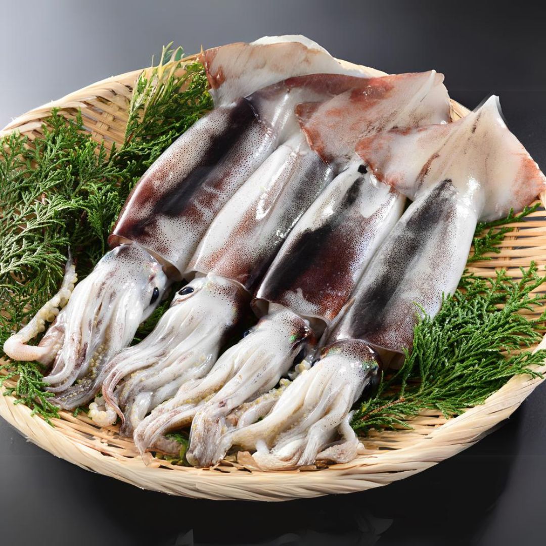 Fresh Arrow Squid - mondodelmare.com