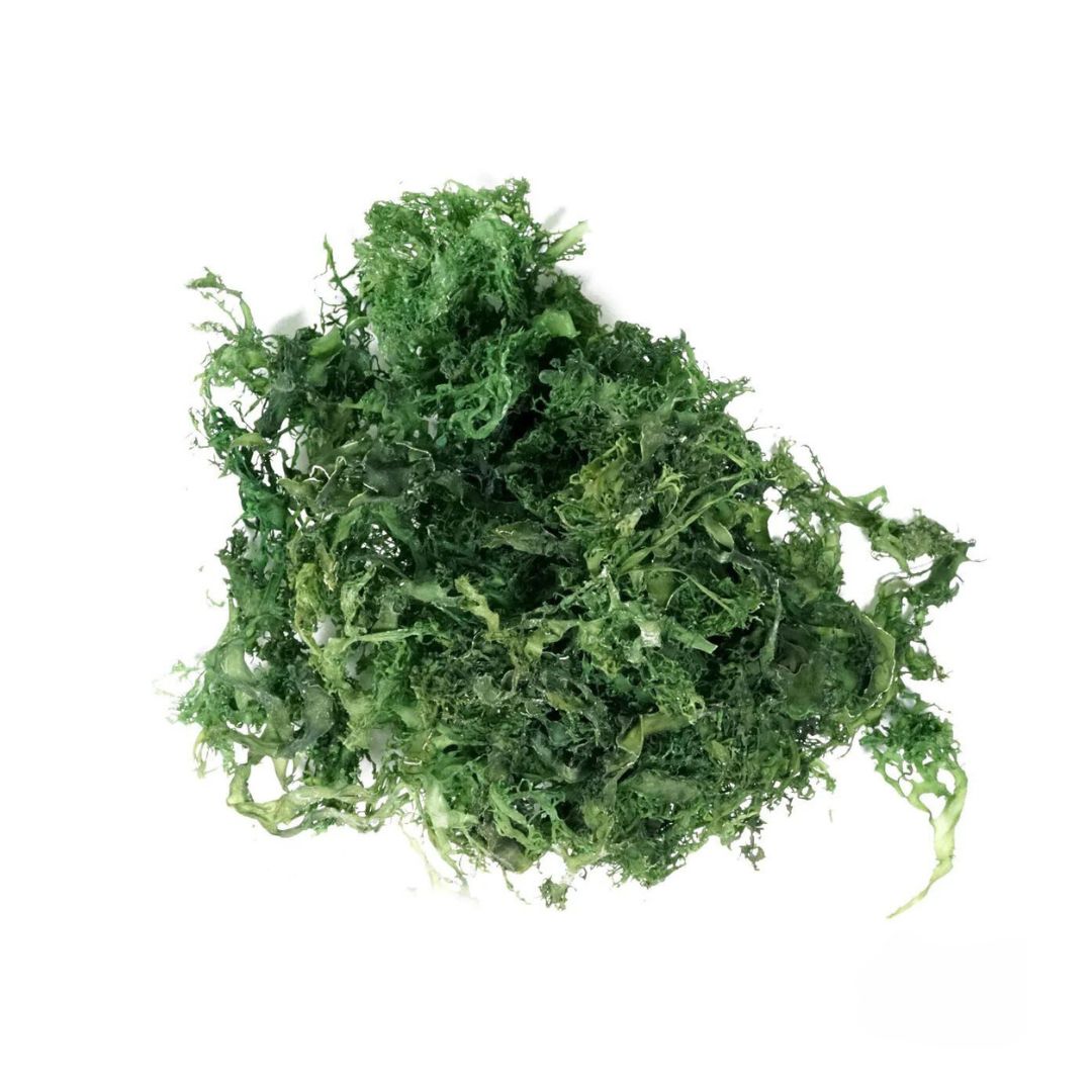 Frozen Nori Aka Tosaka 1kg Green - mondodelmare.com
